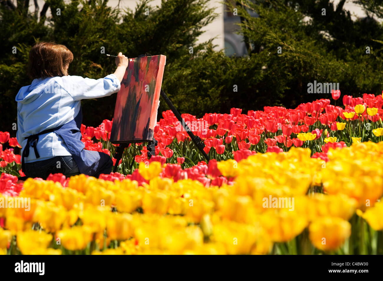 May 2011, Ottawa artist Lina Yachnin works on an oil painting during ...