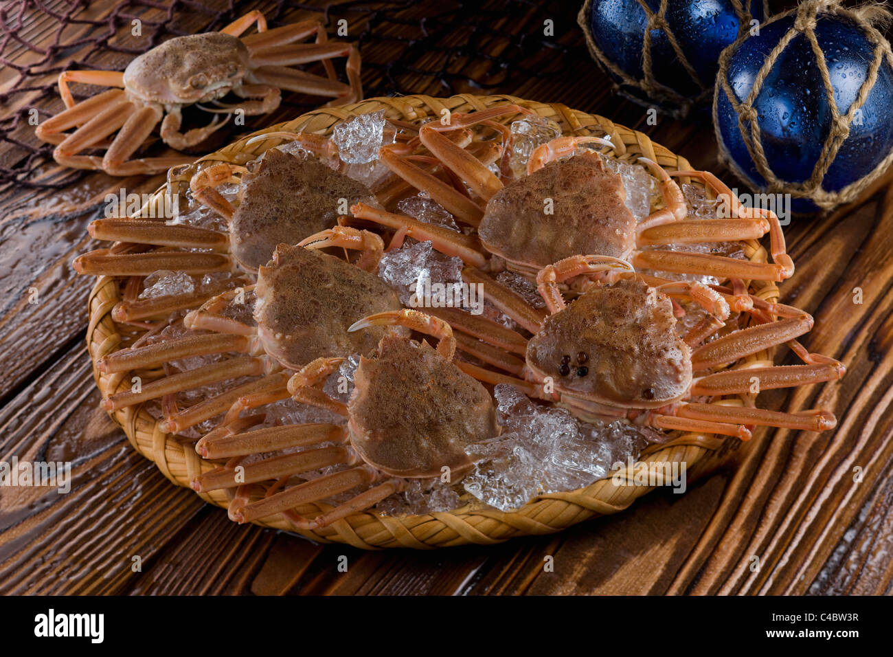 Zuwai gani hi-res stock photography and images - Alamy