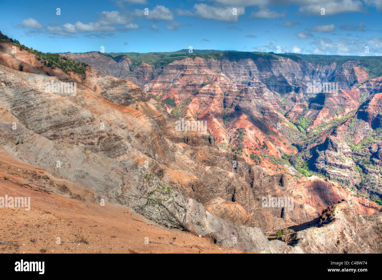 Waimea Canyon State Park Stock Photo - Alamy