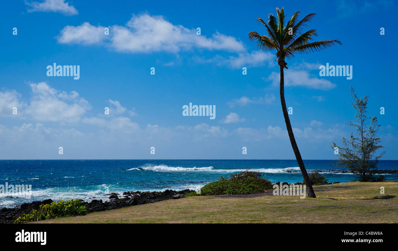 Hawaii pacific ocean poipu hi-res stock photography and images - Alamy