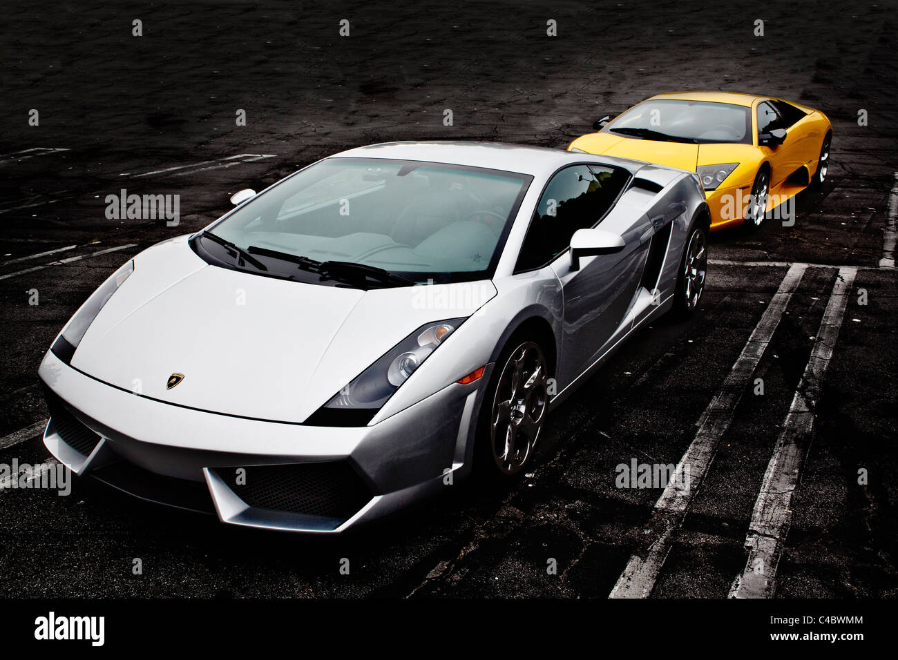 White Lamborghini Gallardo Murcielago Lamborghini