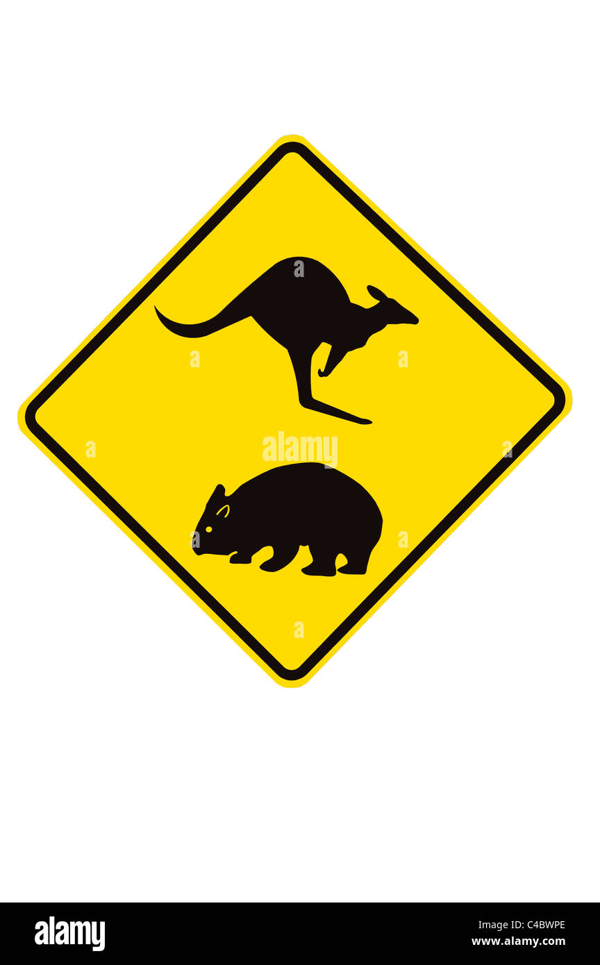 Kangaroo and Wombat Warning Sign, Australia Stock Photo - Alamy