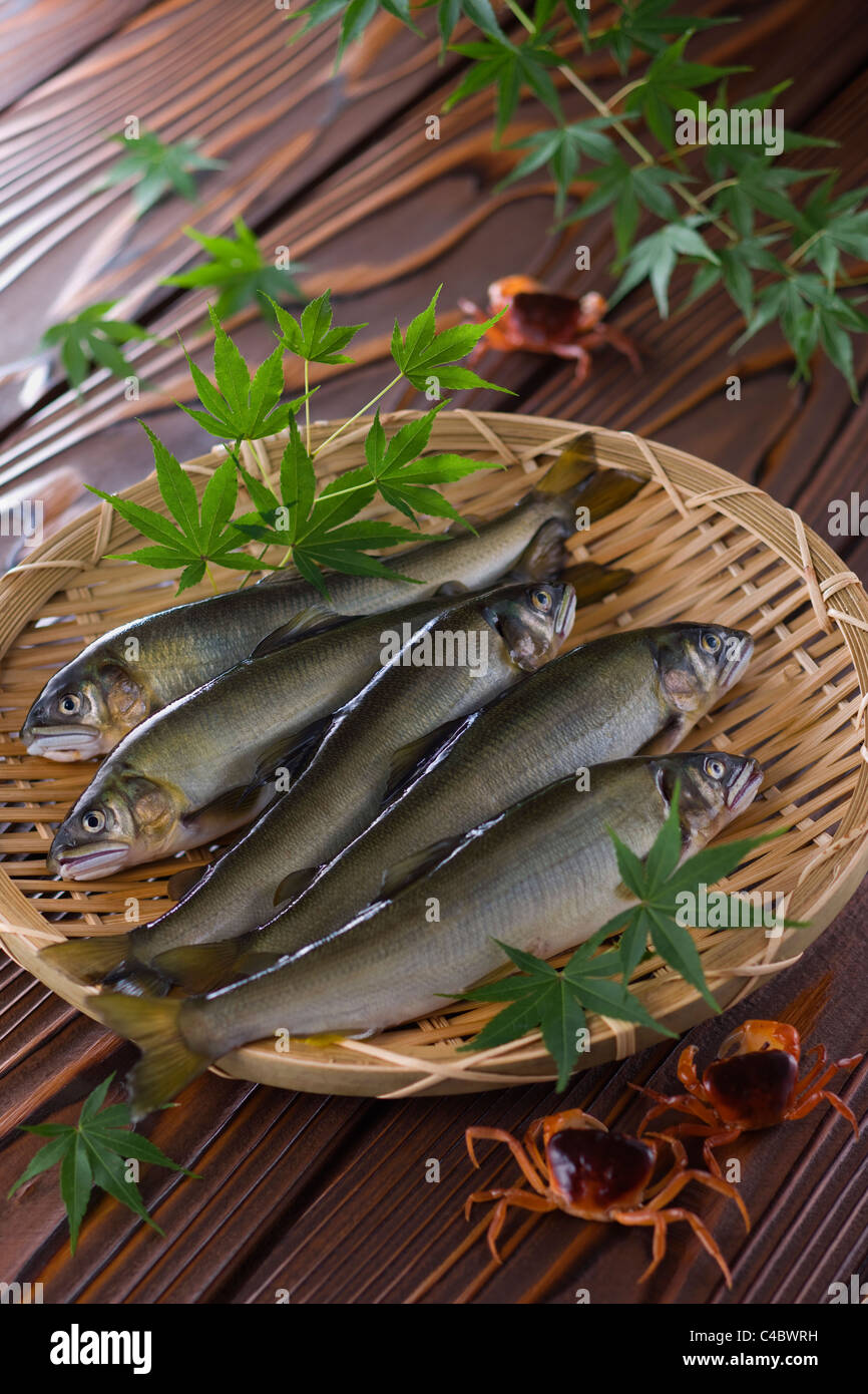 Sweet fish hi-res stock photography and images - Alamy