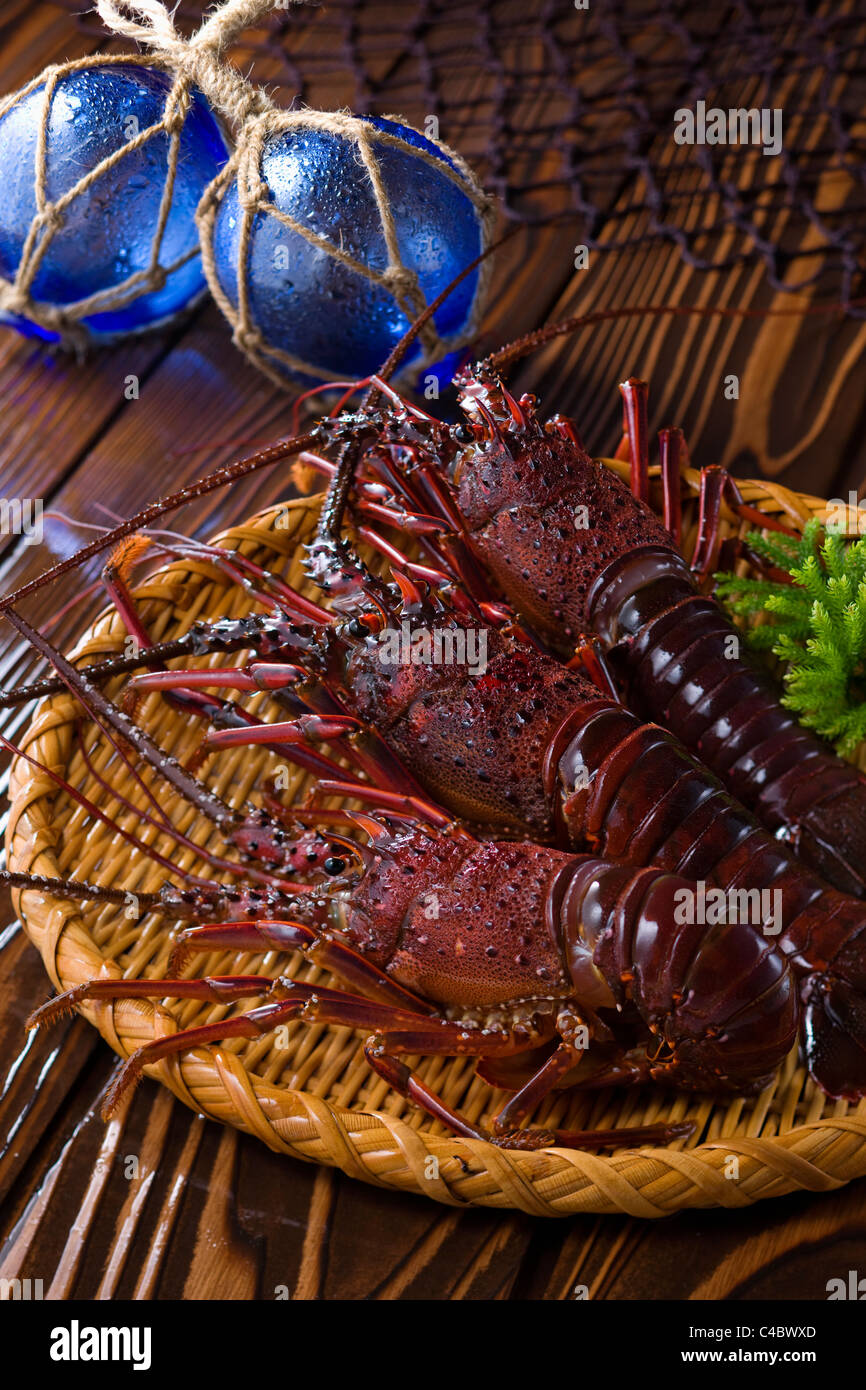 Japanese Spiny Lobster Stock Photos & Japanese Spiny Lobster Stock ...