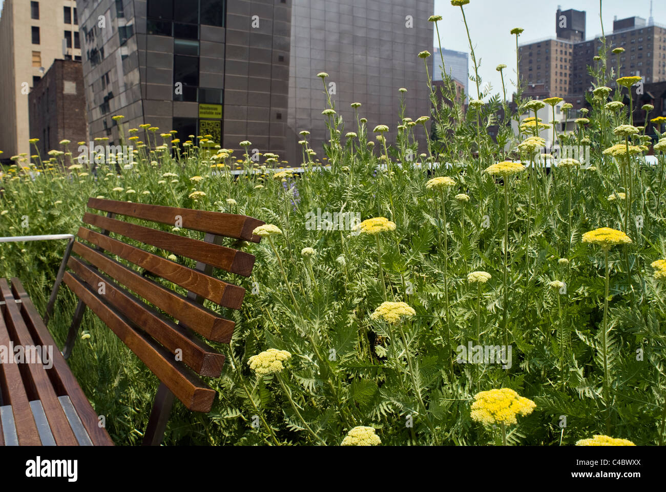 Phase Two of the Highline Park public space in New York City, built on ...