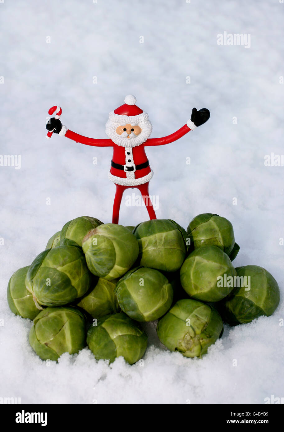 Funny Father Christmas toy with sprouts in snow Stock Photo - Alamy