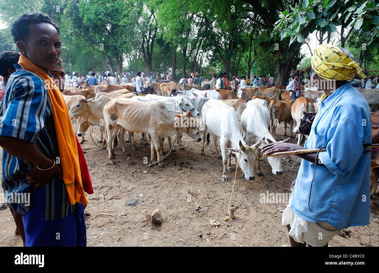 Orissa tribe hi-res stock photography and images - Alamy