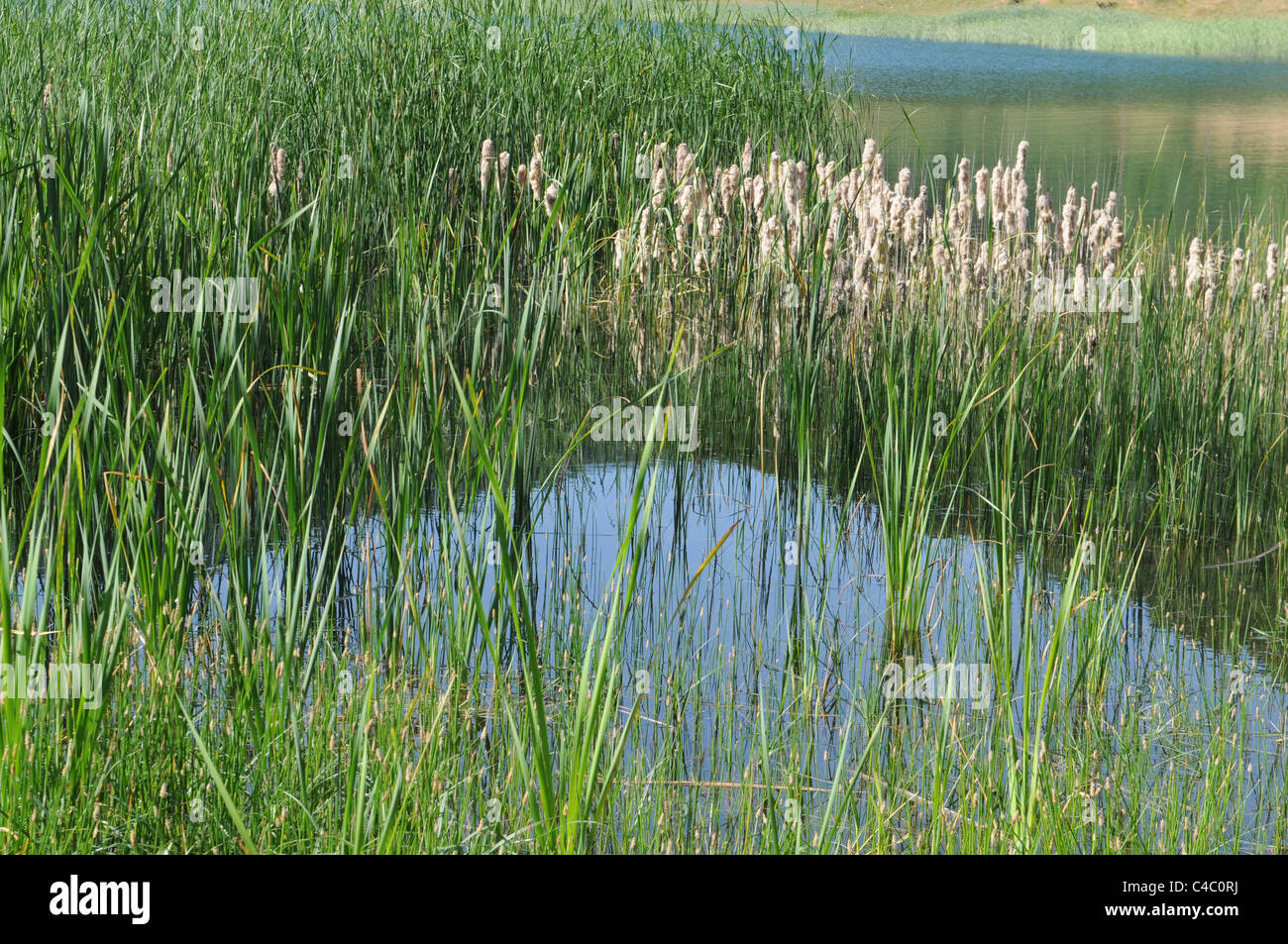 Doxa lake hi-res stock photography and images - Alamy