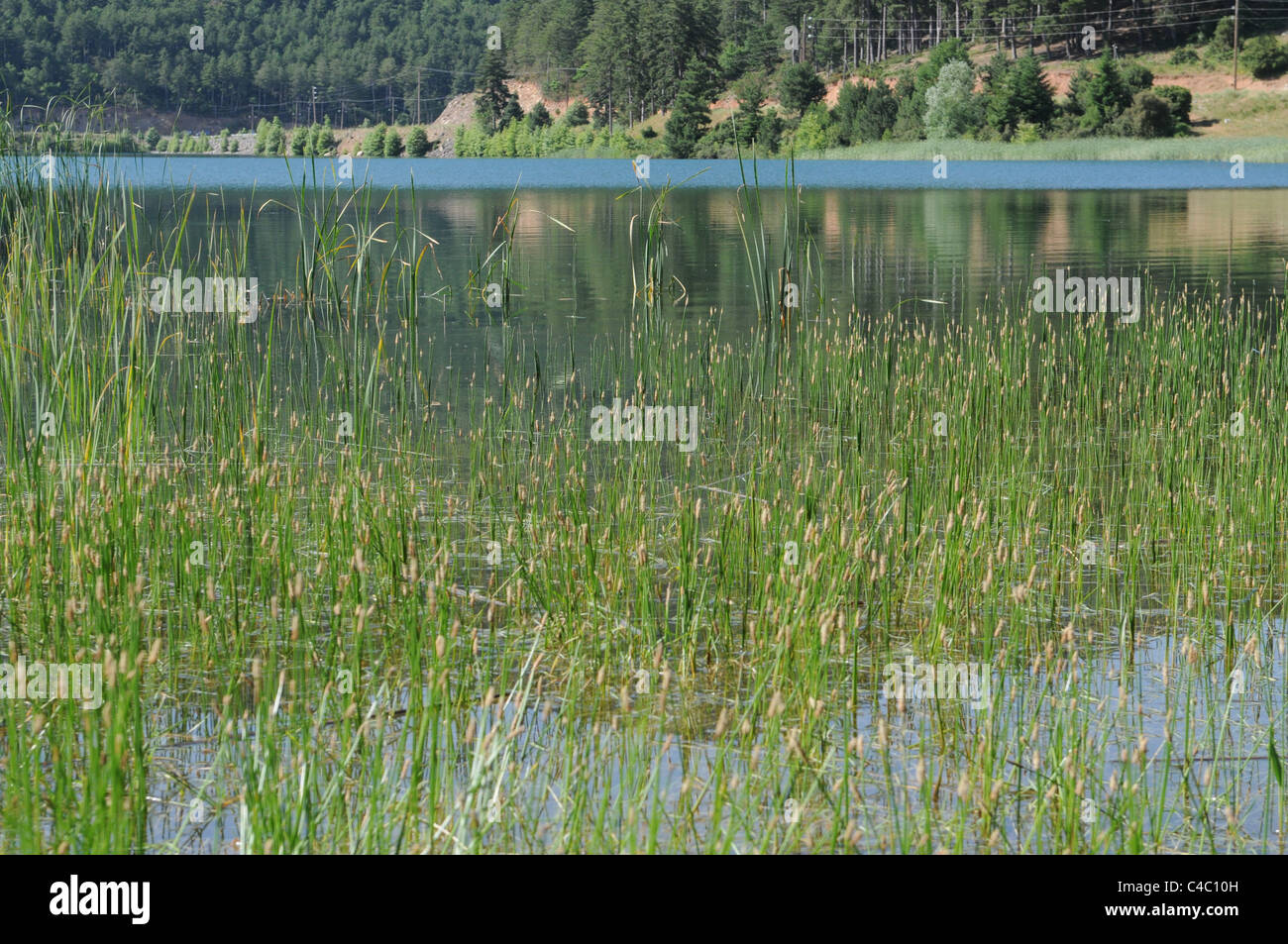 Doxa lake hi-res stock photography and images - Alamy