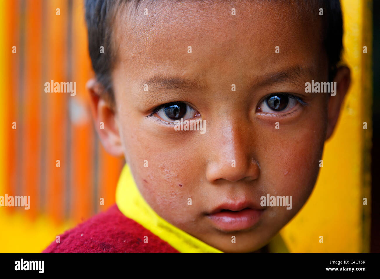 India - Sikkim - the Buddhist Labrang Monastery - young novice monk ...
