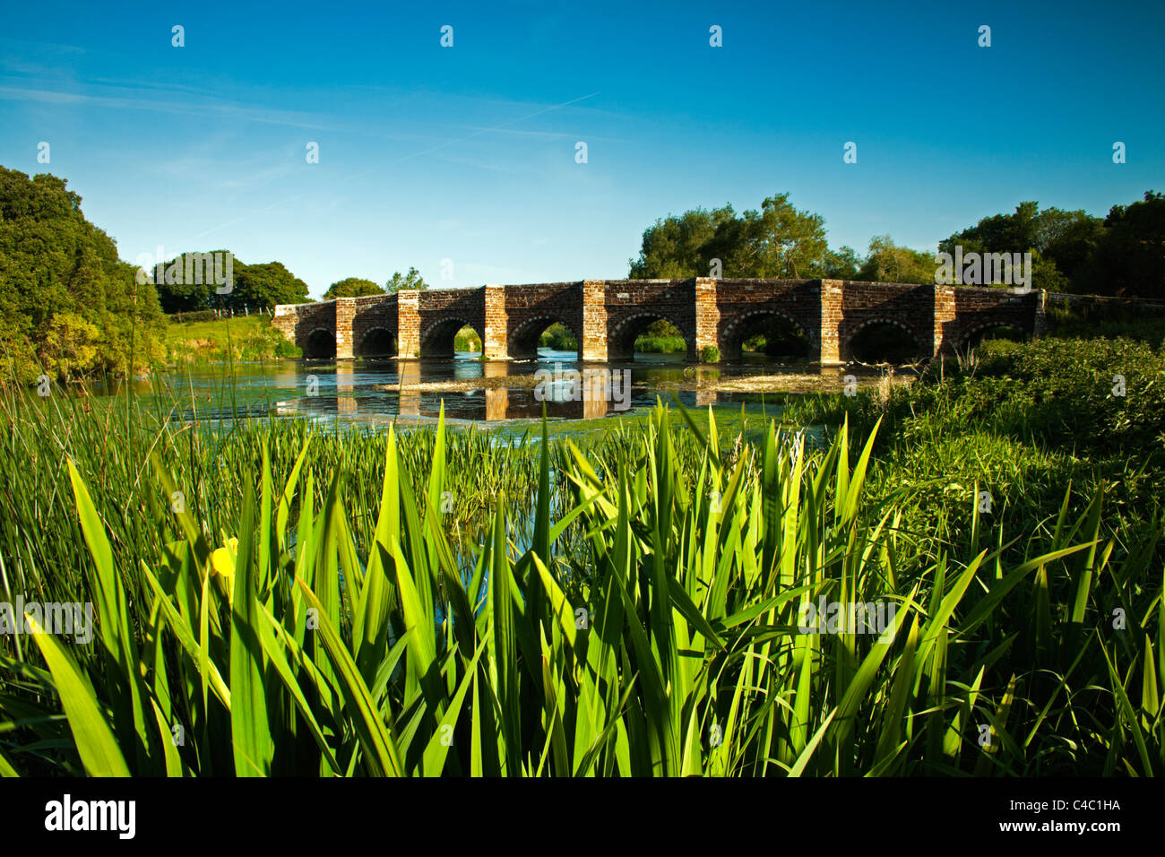 Sturminster Marshall bridge on the River Stour, Dorset Stock Photo - Alamy
