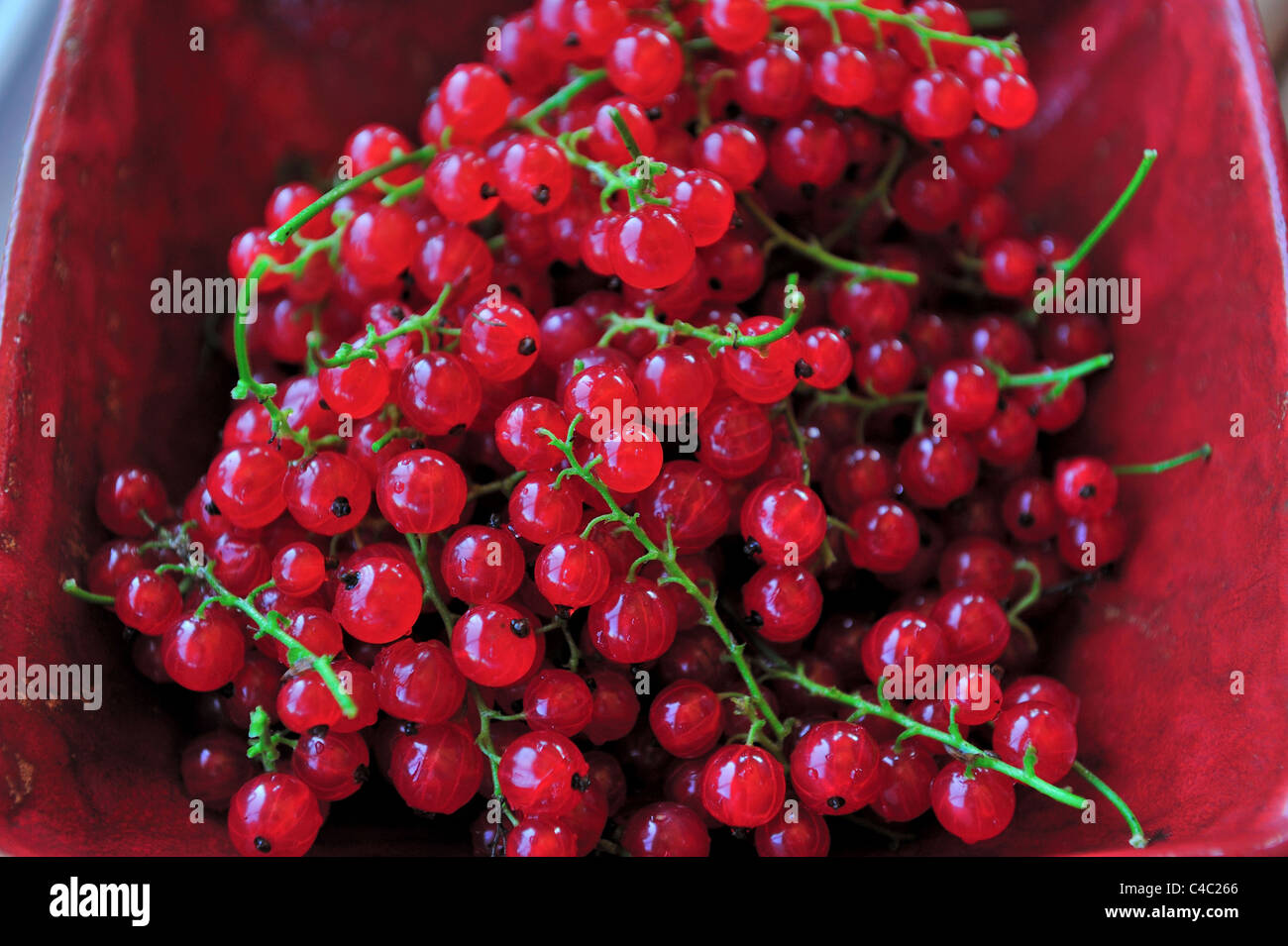 red currants, food, natural, wholesome, healthy, sweet, clouse up ...