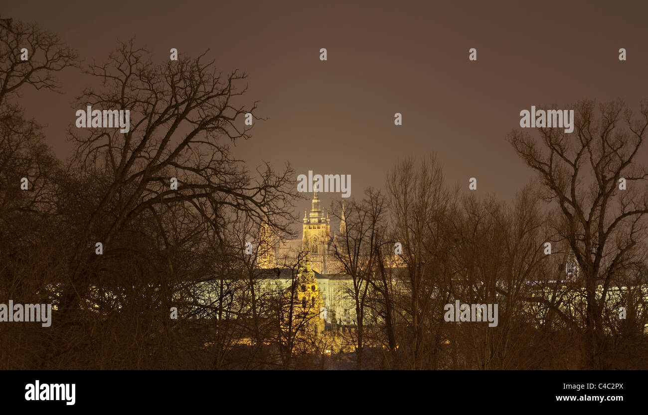 Church lit up at night with trees Stock Photo - Alamy