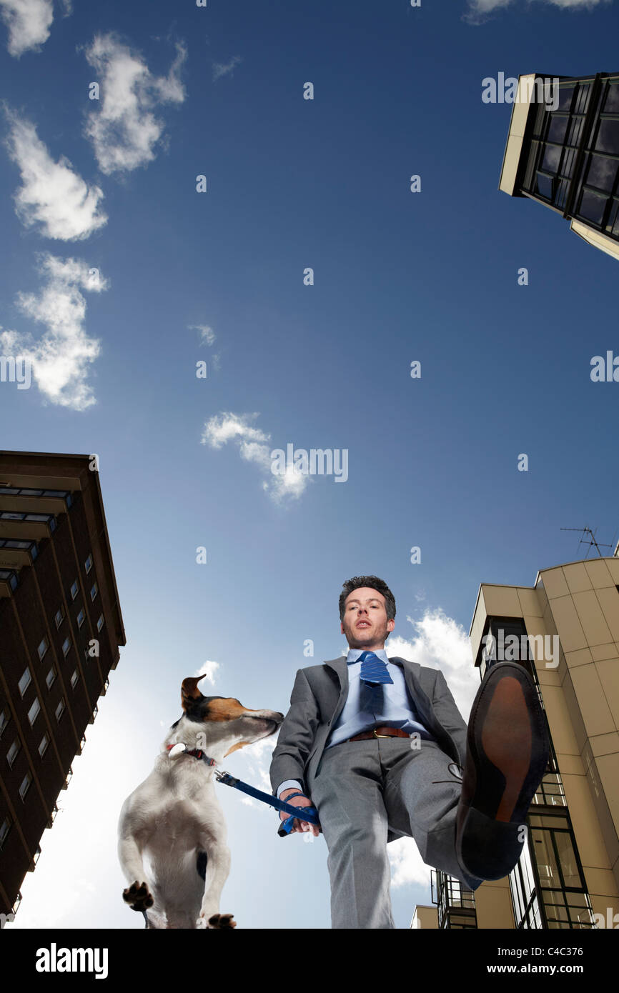 Businessman walking dog on city street Stock Photo - Alamy