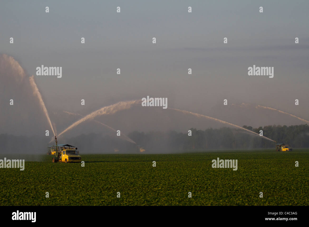 Watering crops hi-res stock photography and images - Alamy