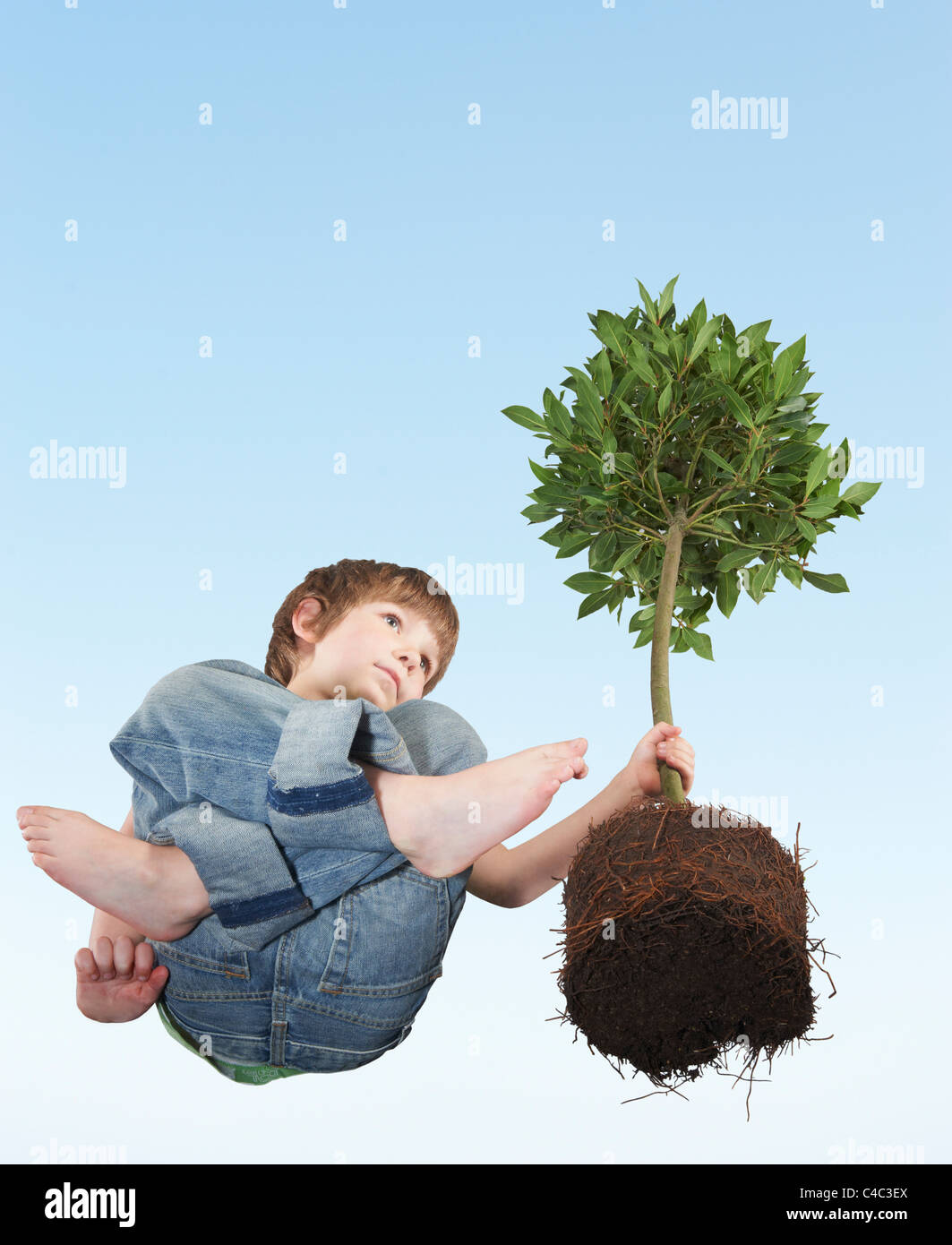 Boy holding tree with exposed roots Stock Photo - Alamy