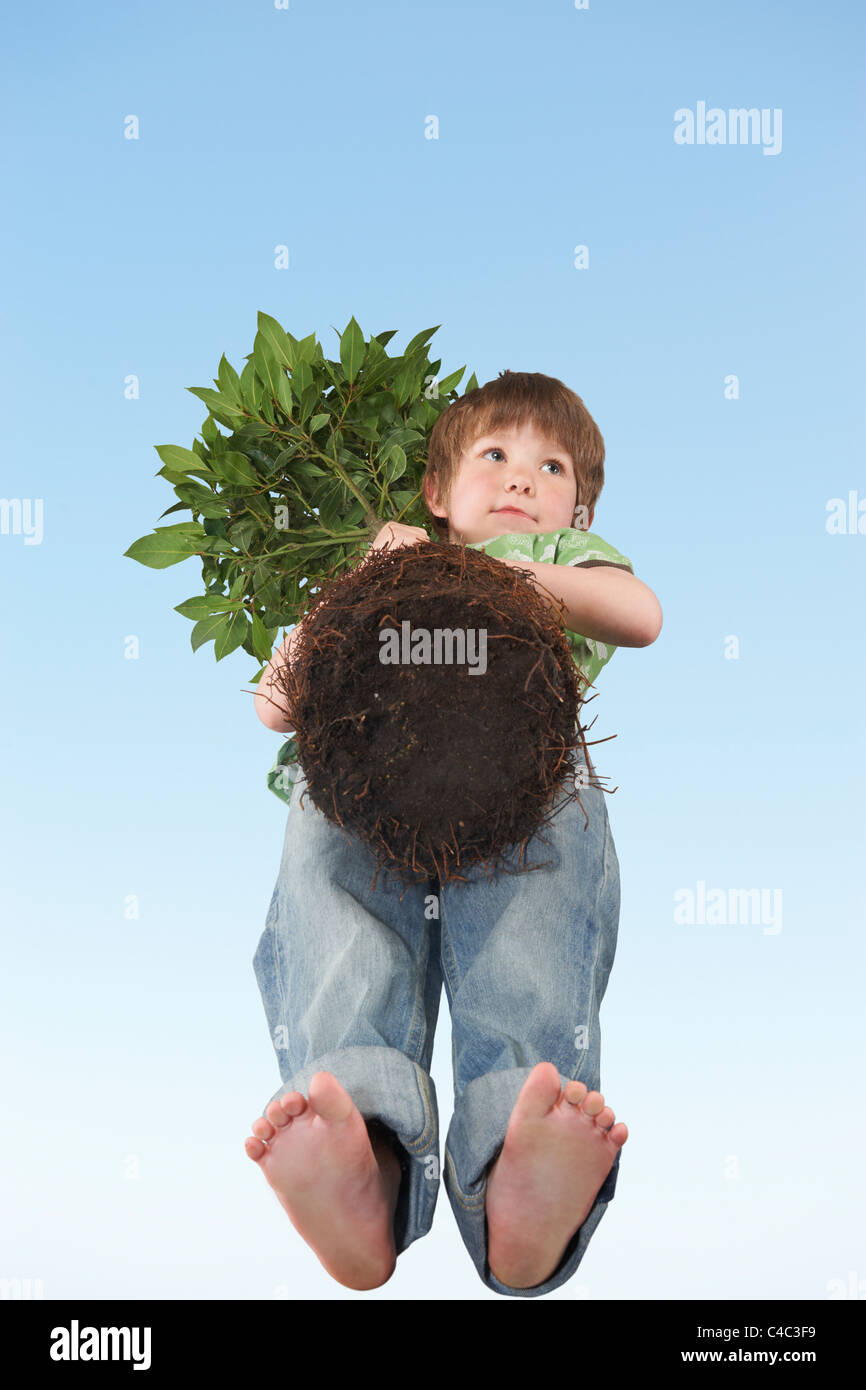 Boy holding tree with exposed roots Stock Photo - Alamy