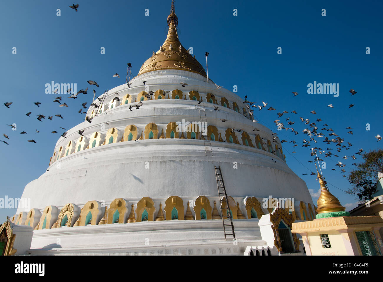 Flock of pigeons circle temple dome, Myanmar Stock Photo - Alamy