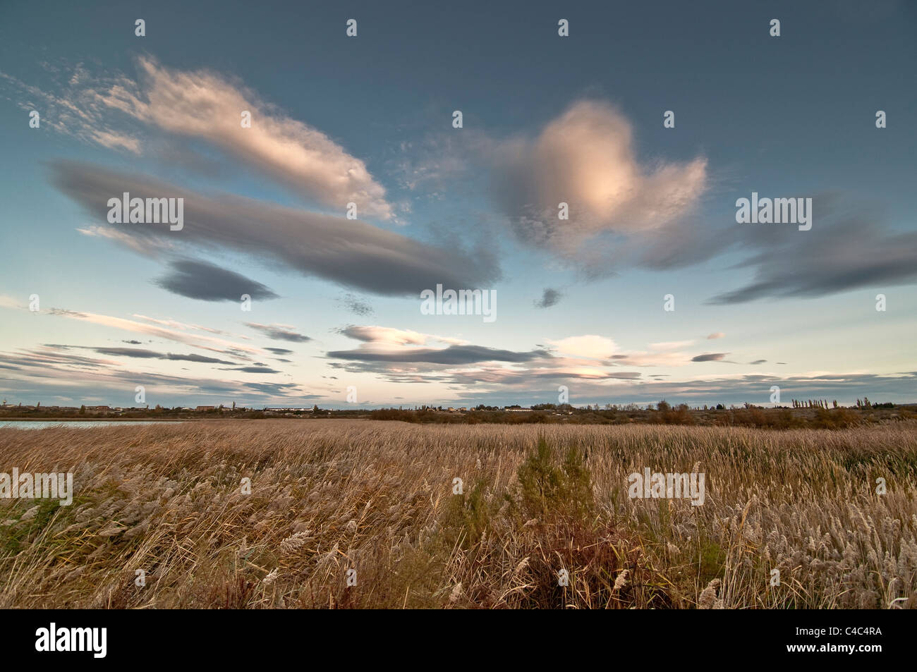 Sariñena Lagoon, Monegros Steppes landscape. Aragon. Spain. Europe ...