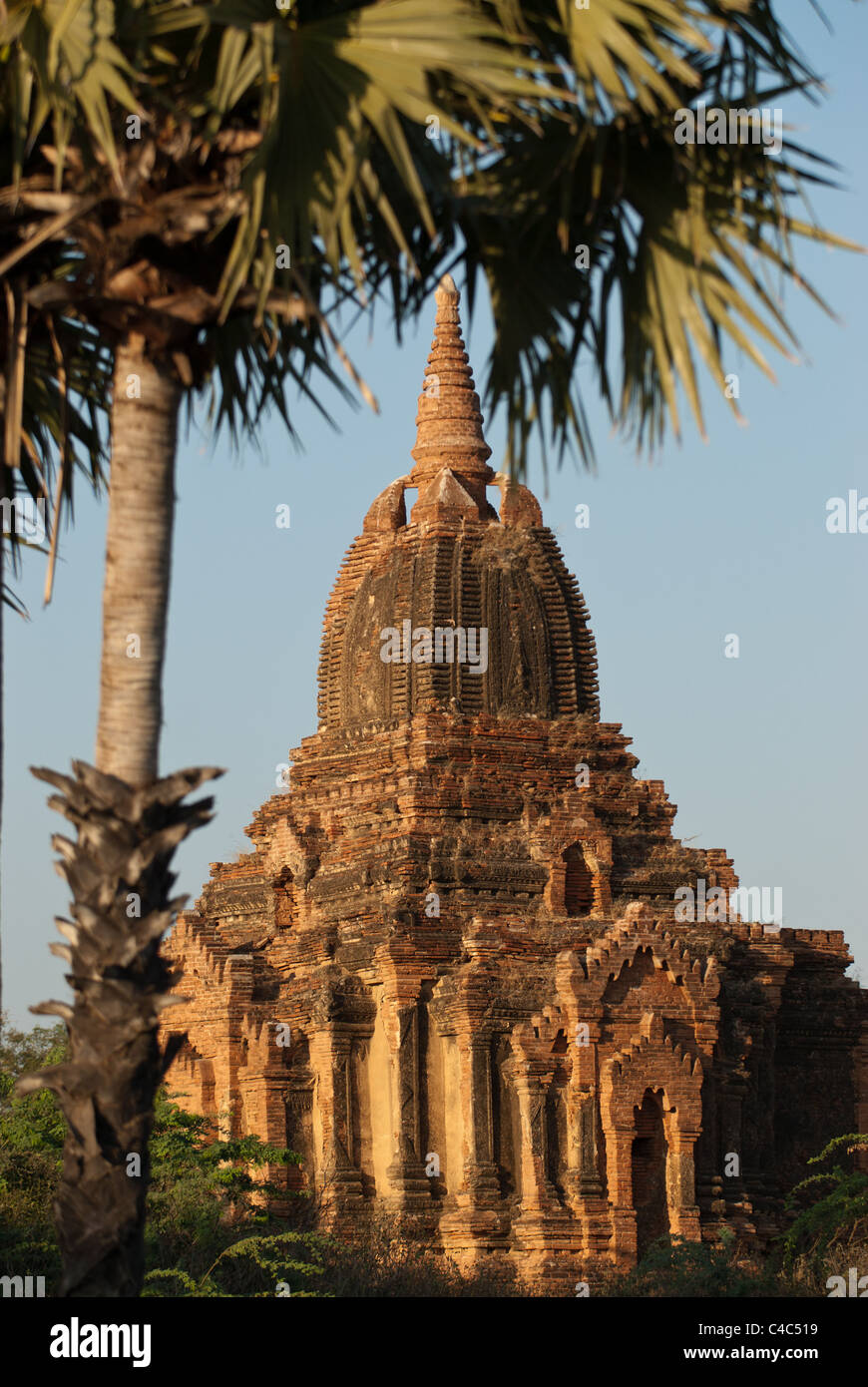 Temple in Bagan with palm tree in the foreground Stock Photo - Alamy