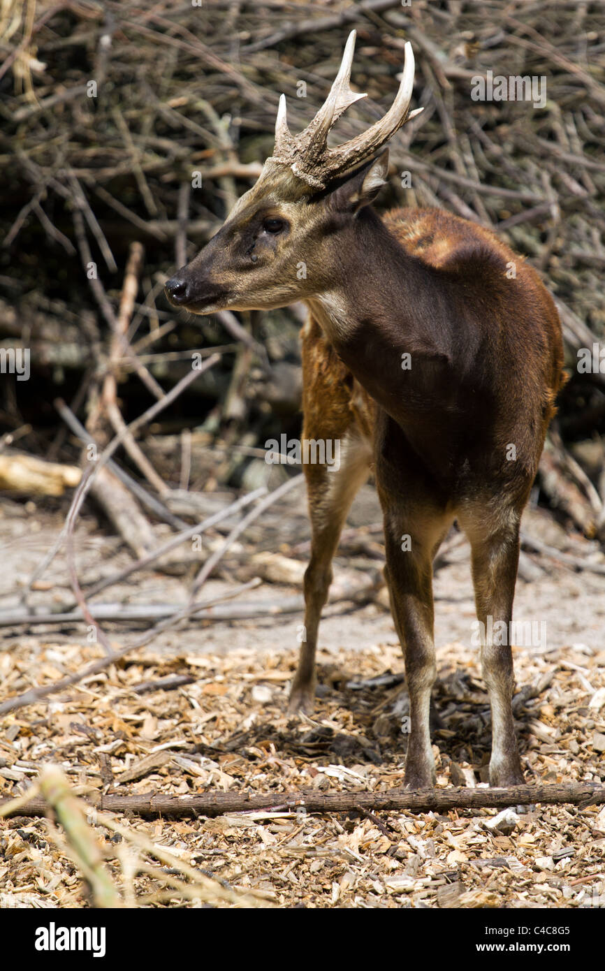 Hunting spot hi-res stock photography and images - Alamy