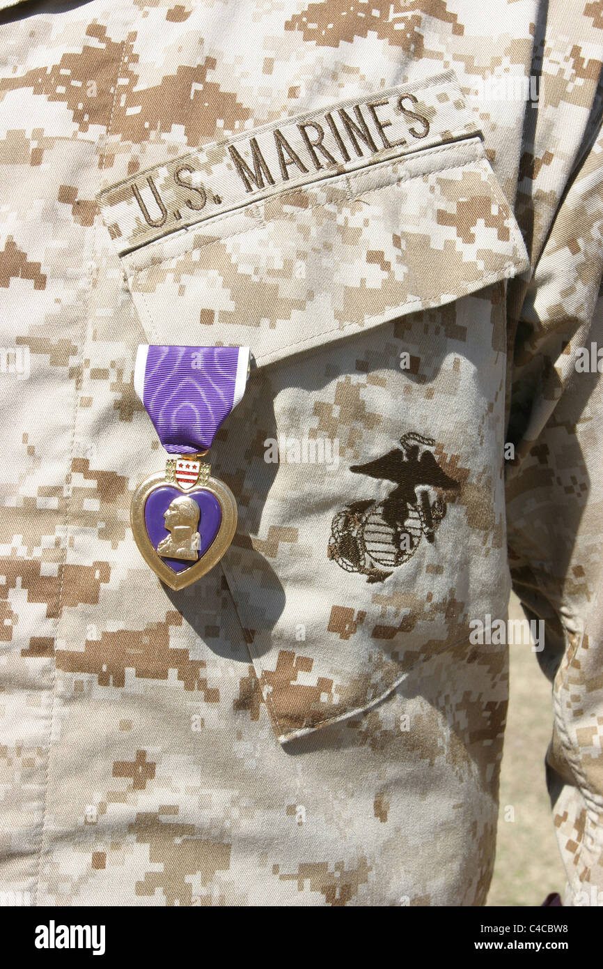 The Purple Heart award hangs over the heart of an infantryman in the ...
