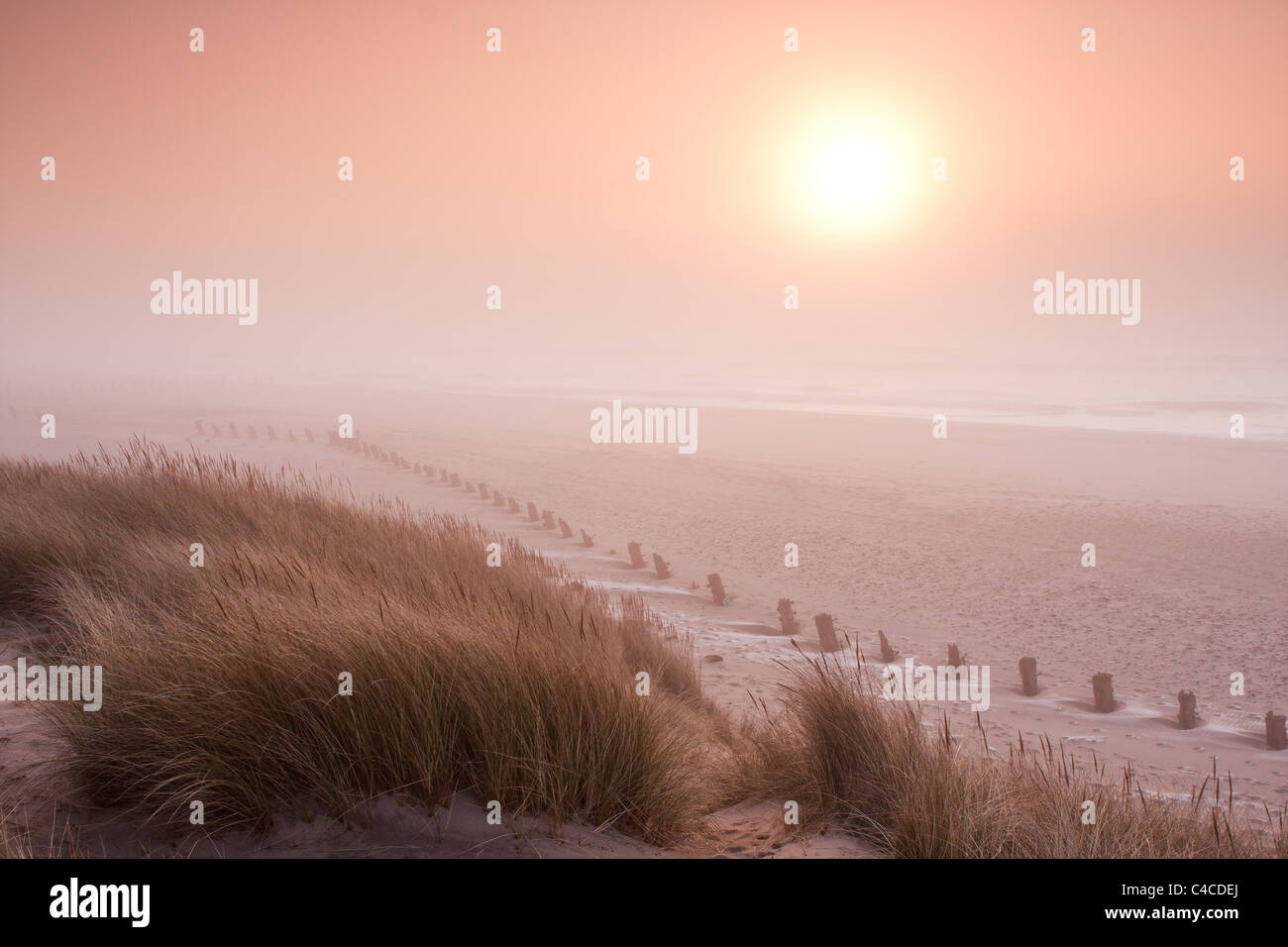 A misty sunrise at spurn point taken from the sand dunes with groyne ...