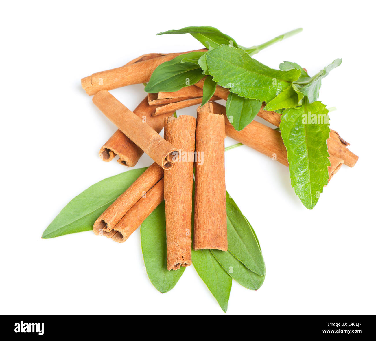 Cinnamon and green leaves. A heap of sticks of cinnamon on a white ...