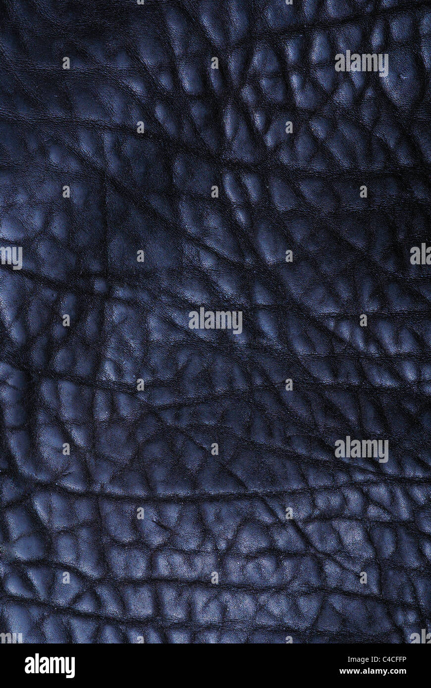 Top grain cattle leather hi-res stock photography and images - Alamy