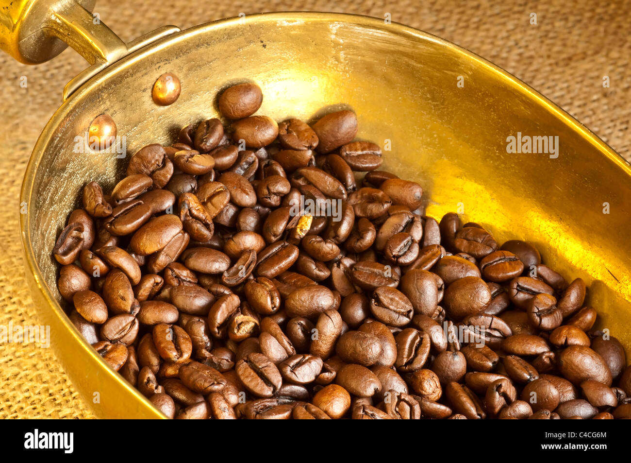 coffee beans in golden light Stock Photo - Alamy