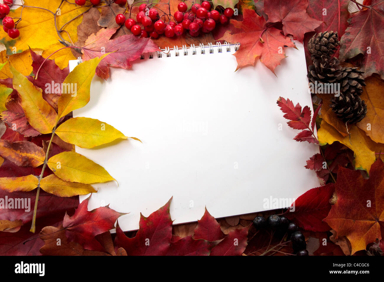 background from autumn leaves and writing-book Stock Photo - Alamy