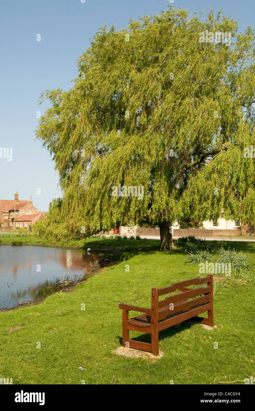 english village green common land picturesque traditional nun moor ...