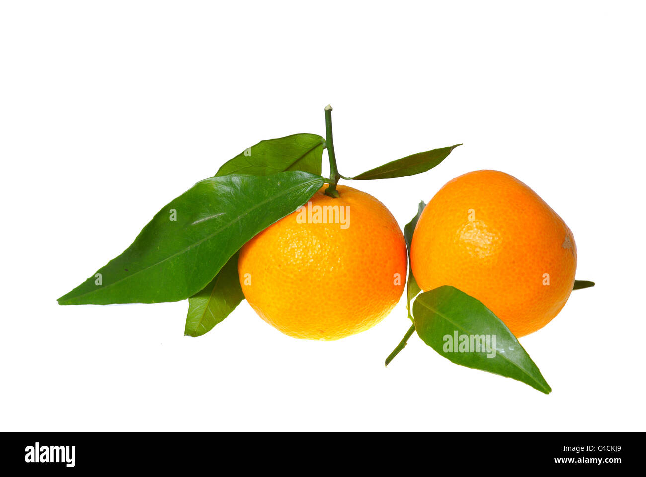 two tangerines isolated on white background Stock Photo - Alamy