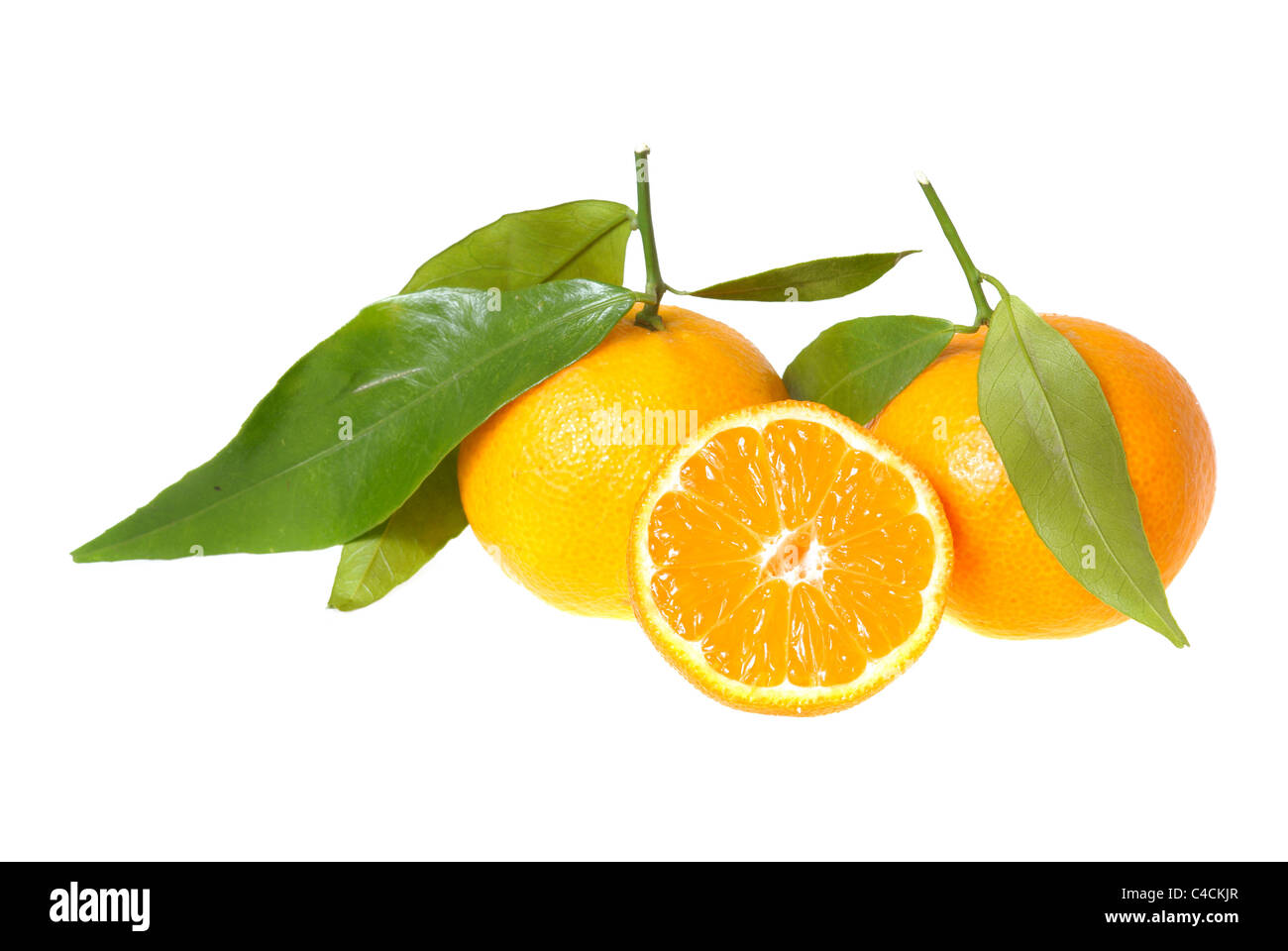 Tangerines on branch Cut Out Stock Images & Pictures - Alamy