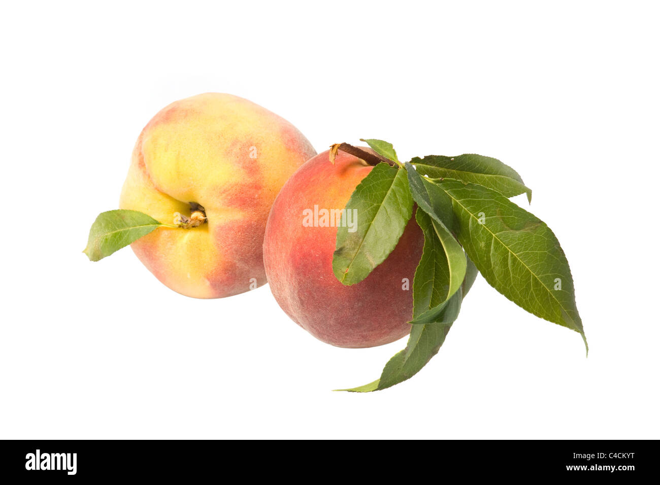 two peaches isolated on white background Stock Photo - Alamy