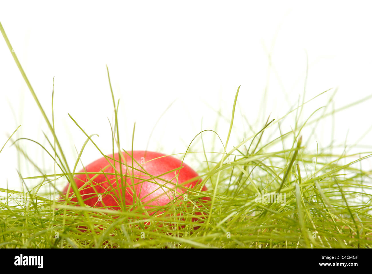 easter egg in grass isolated on white background Stock Photo - Alamy