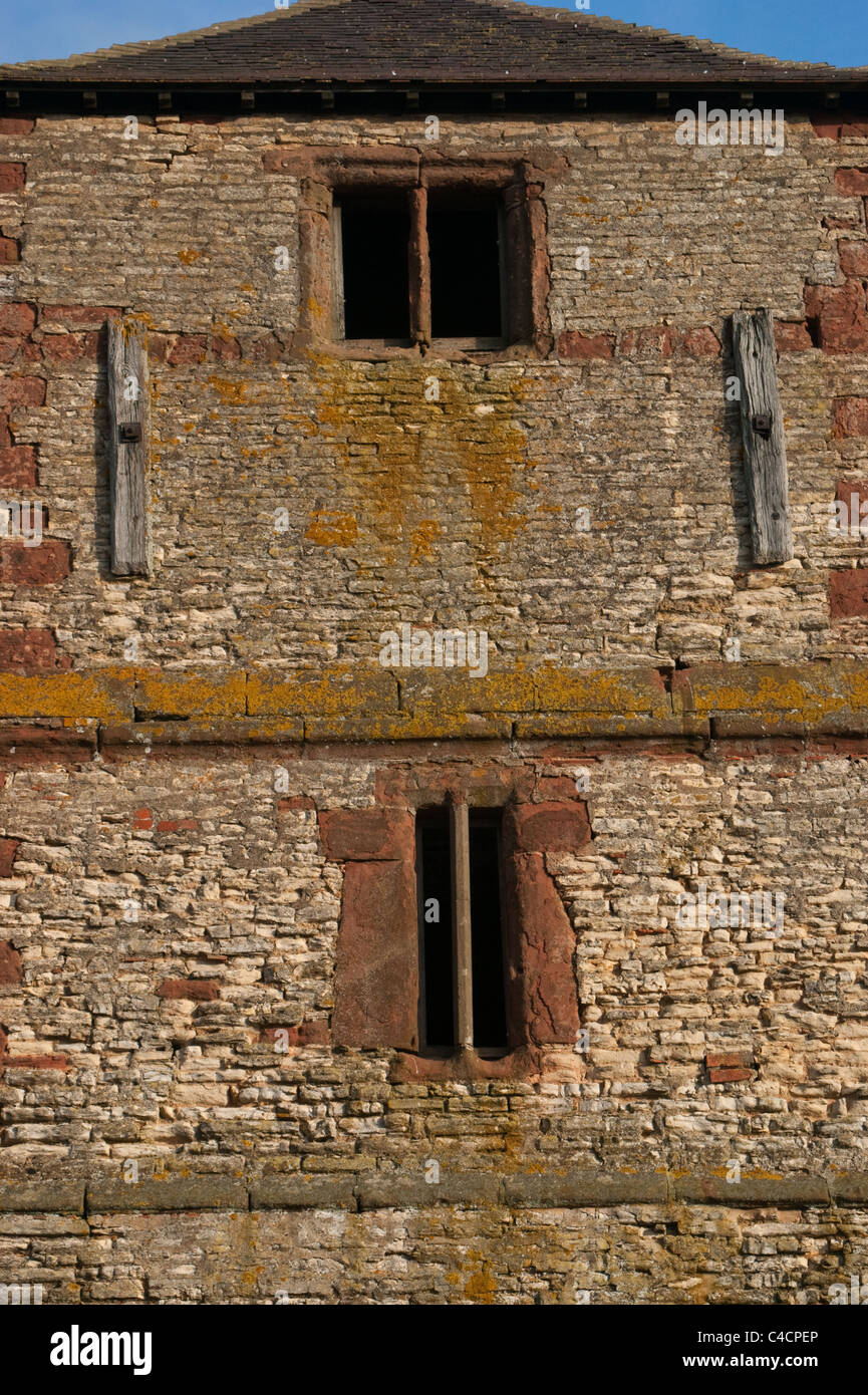 Tangled Castle Close Up
