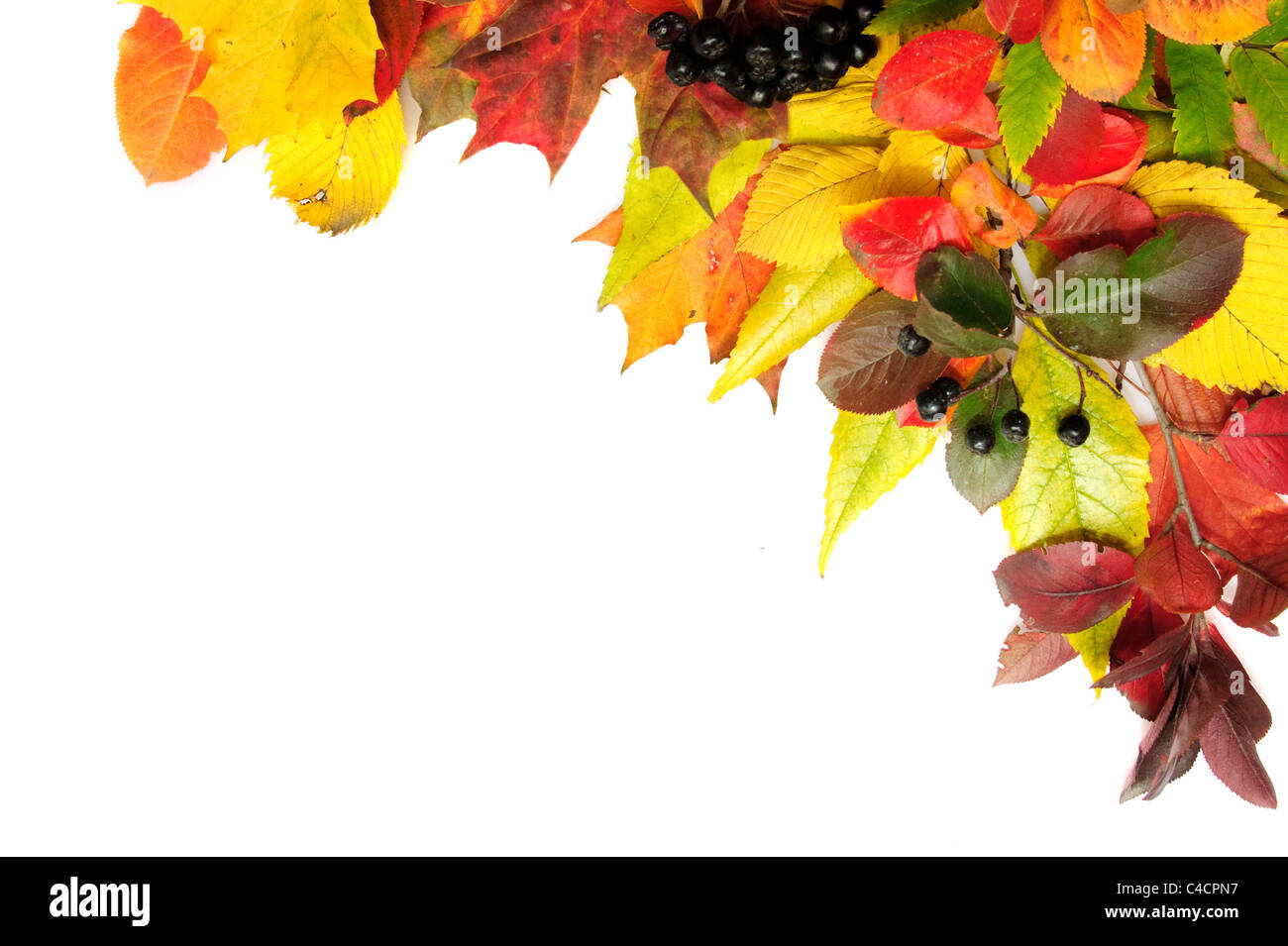 corner from autumn leaves Stock Photo - Alamy