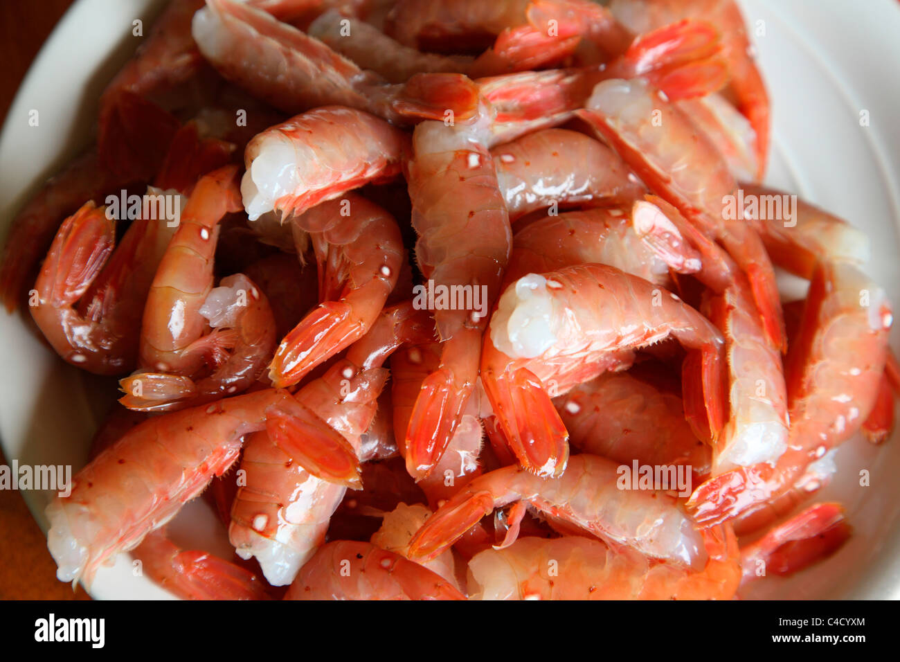 Canadian prawns hi-res stock photography and images - Alamy