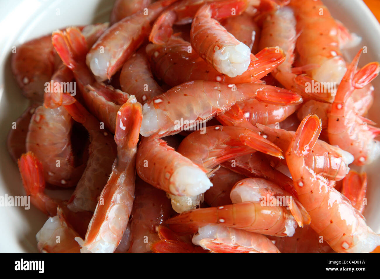 Canadian prawns hi-res stock photography and images - Alamy