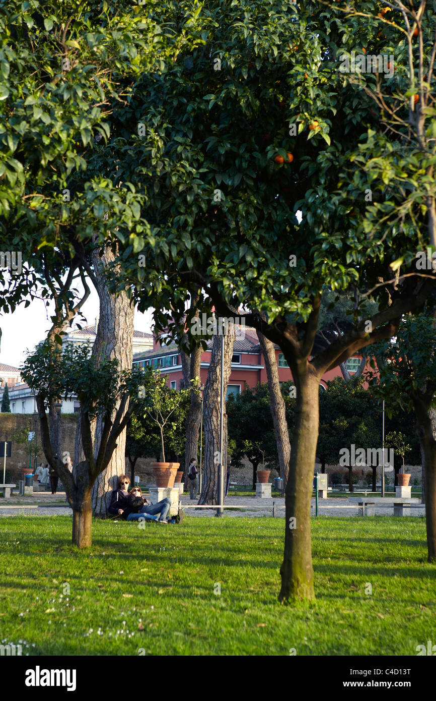 Orange Tree, Rome, Italy Stock Photo - Alamy