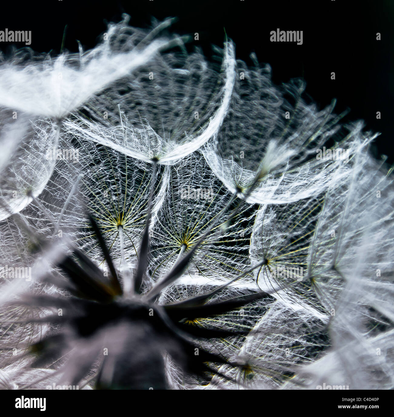 A short range hi-res stock photography and images - Alamy