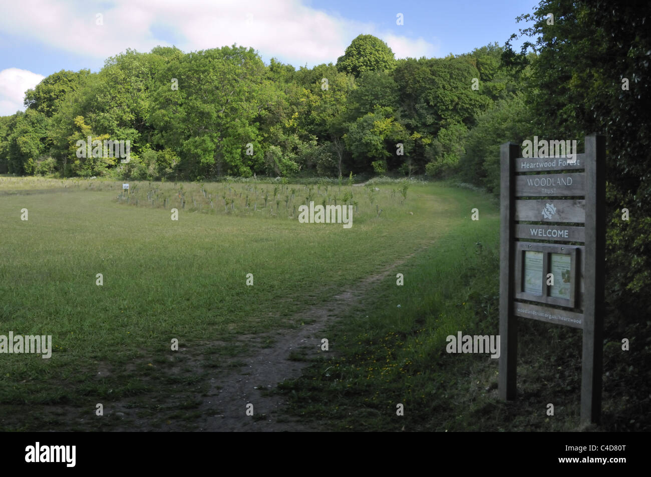 Heartwood forest hi-res stock photography and images - Alamy