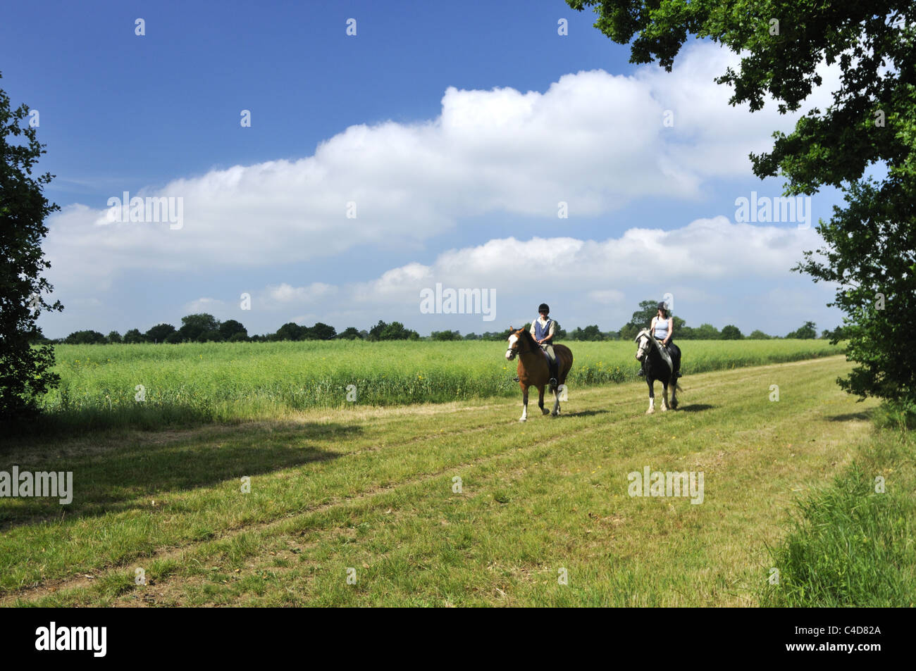 Women riding horses uk hi-res stock photography and images - Alamy