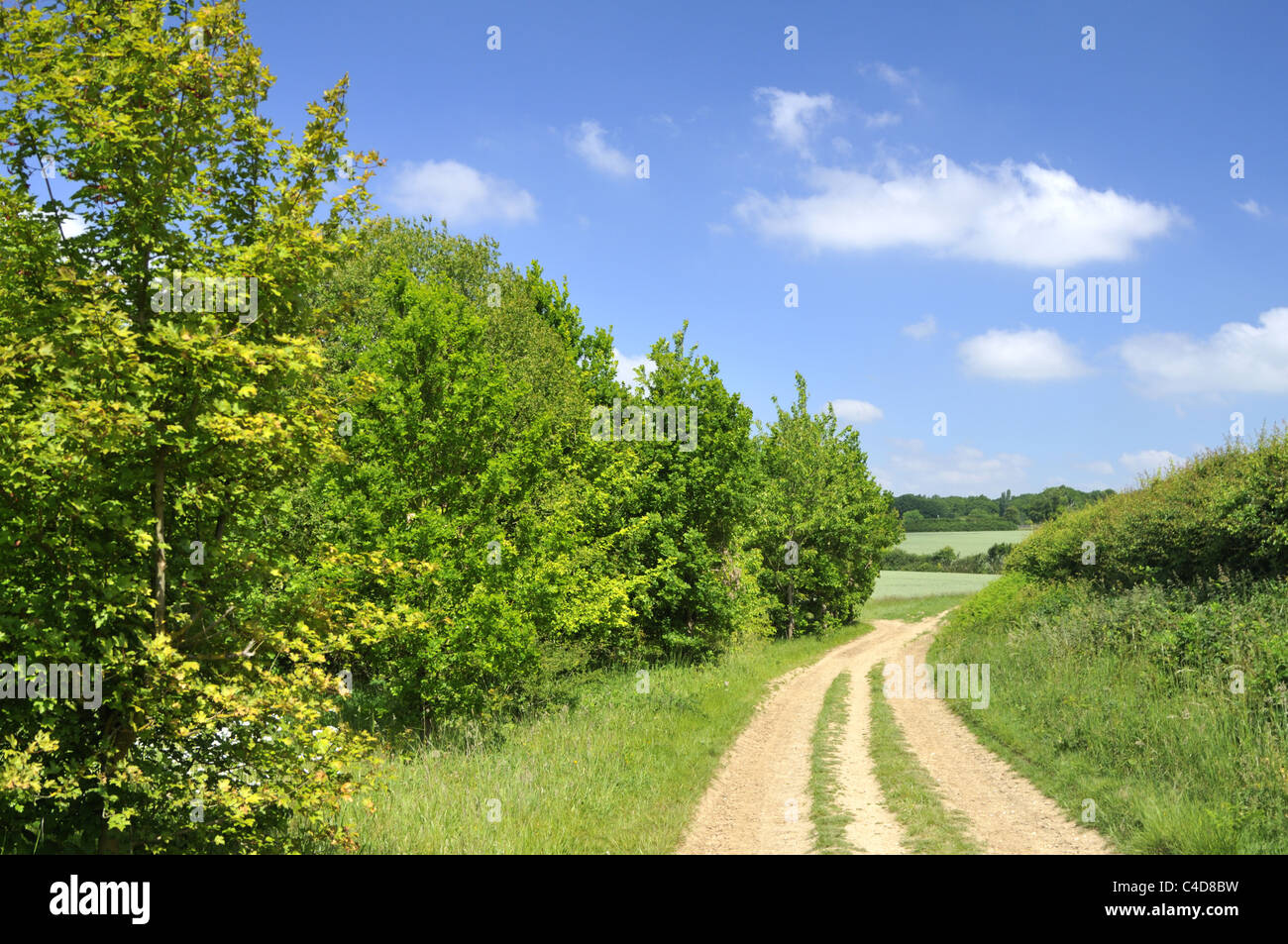 Footpath and permissive bridleway in the English countryside Stock ...