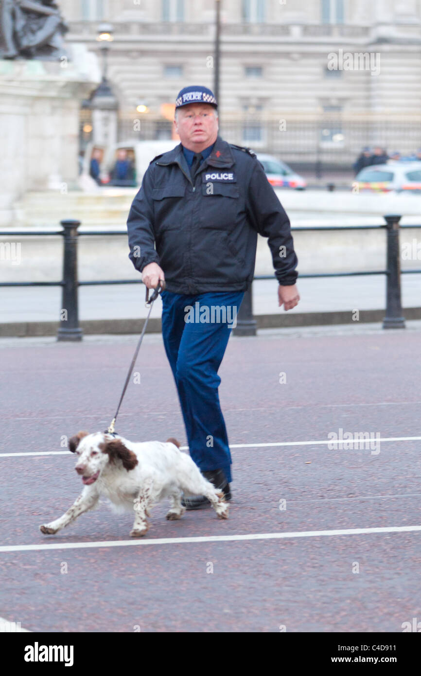 Bomb sniffer dogs in the early hours before the royal wedding of Prince ...