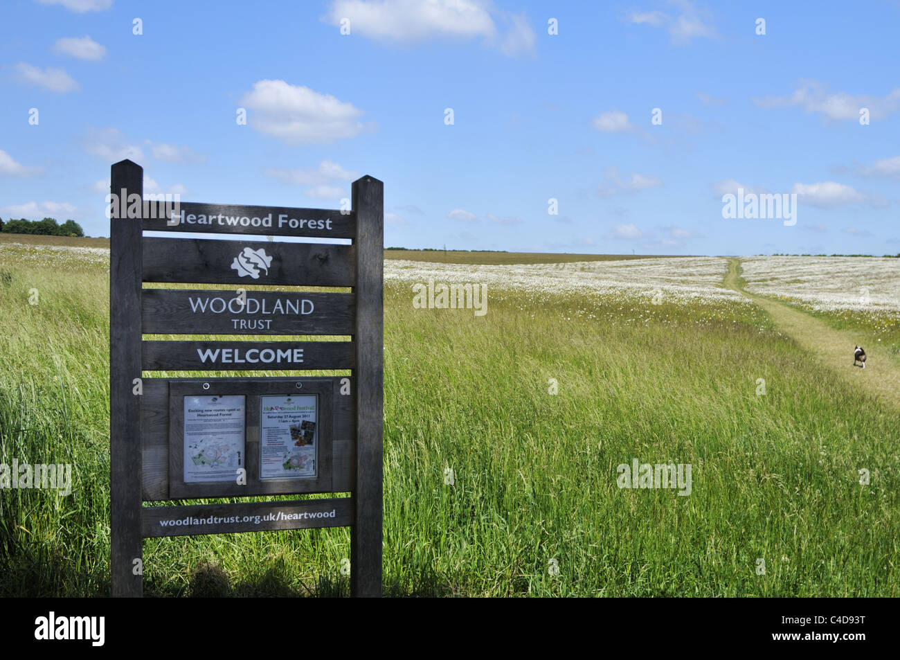 Information board uk woodland hi-res stock photography and images - Alamy
