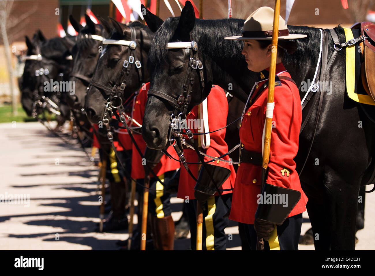 May 2011, Ottawa Ontario Canada. Images from the Royal Canadian Mounted ...
