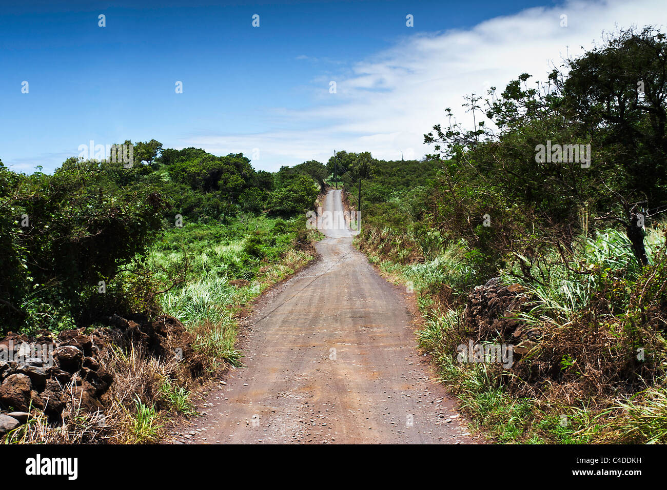 Piilani Highway in Maui, Hawaii Stock Photo - Alamy