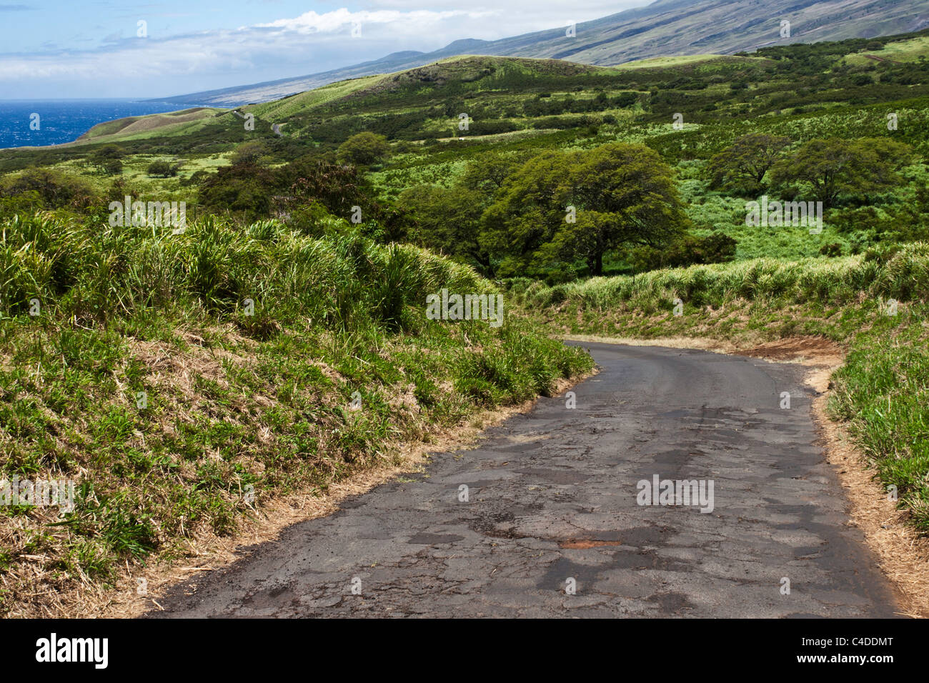 Piilani Highway in Maui, Hawaii Stock Photo - Alamy